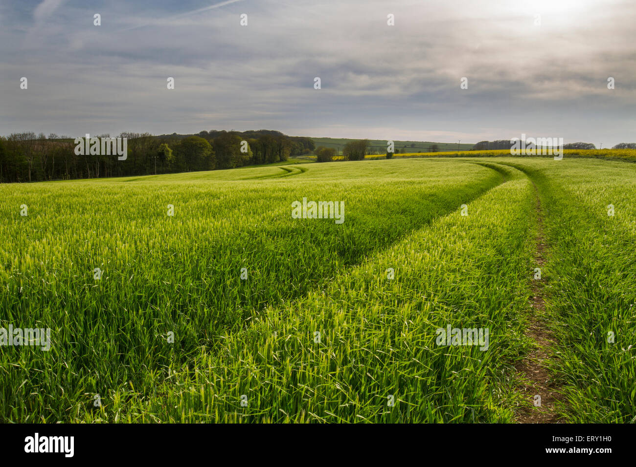 Crop and tracks hi-res stock photography and images - Alamy