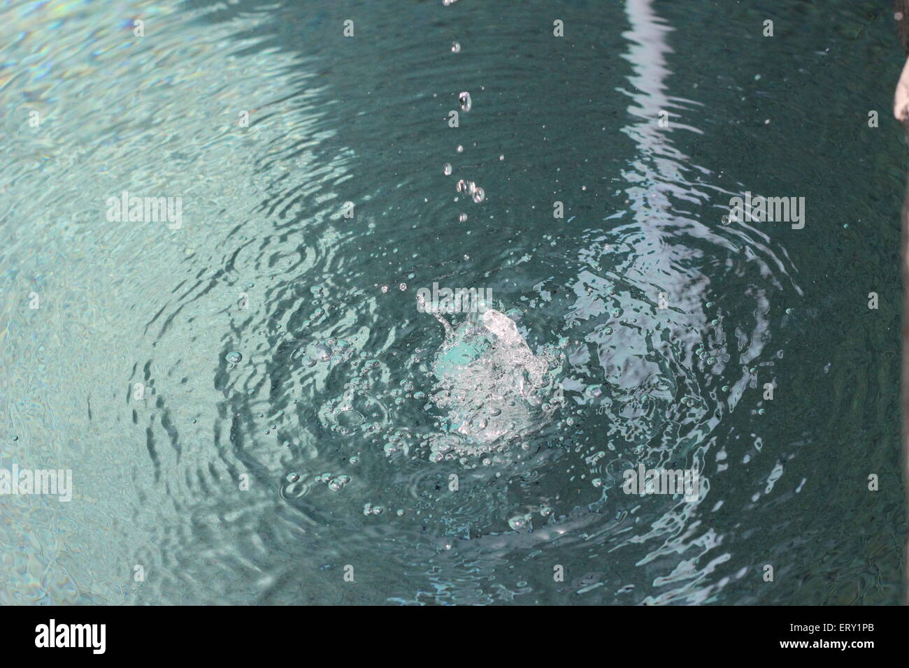 Water splashes into a pool of water, creating small ripples throughout ...