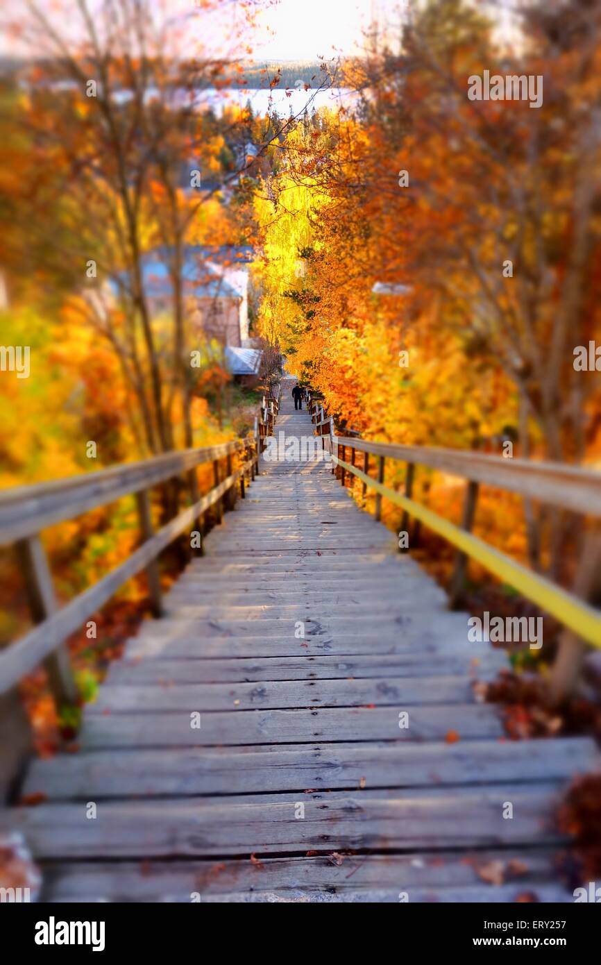 Autumn color shift hi-res stock photography and images - Alamy