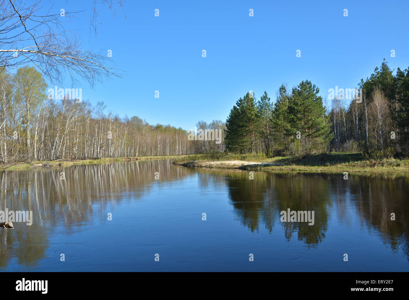 Spring river landscape. Forest river National Park in Central Russia ...
