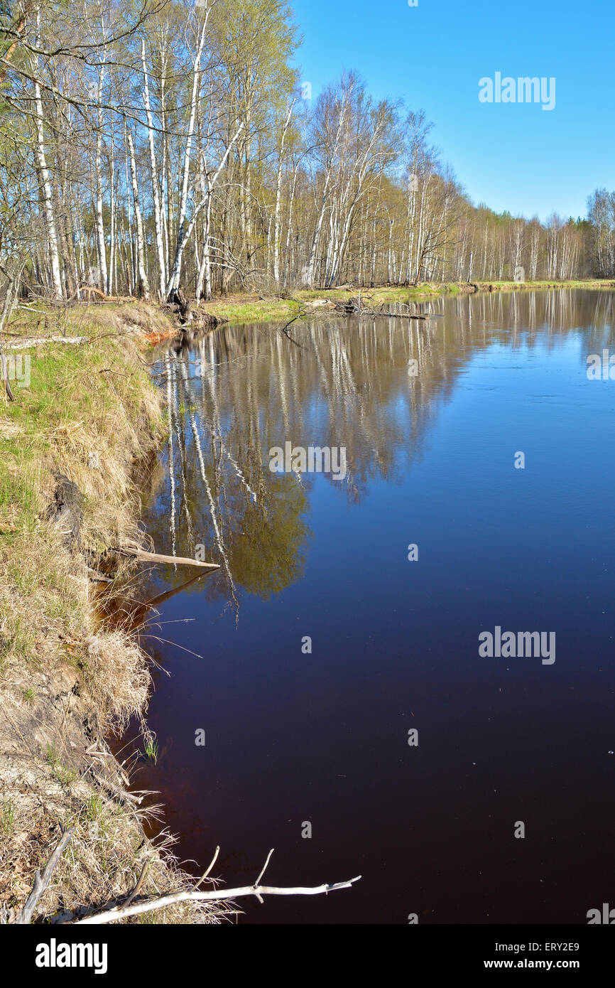 Spring river landscape. Forest river National Park in Central Russia ...