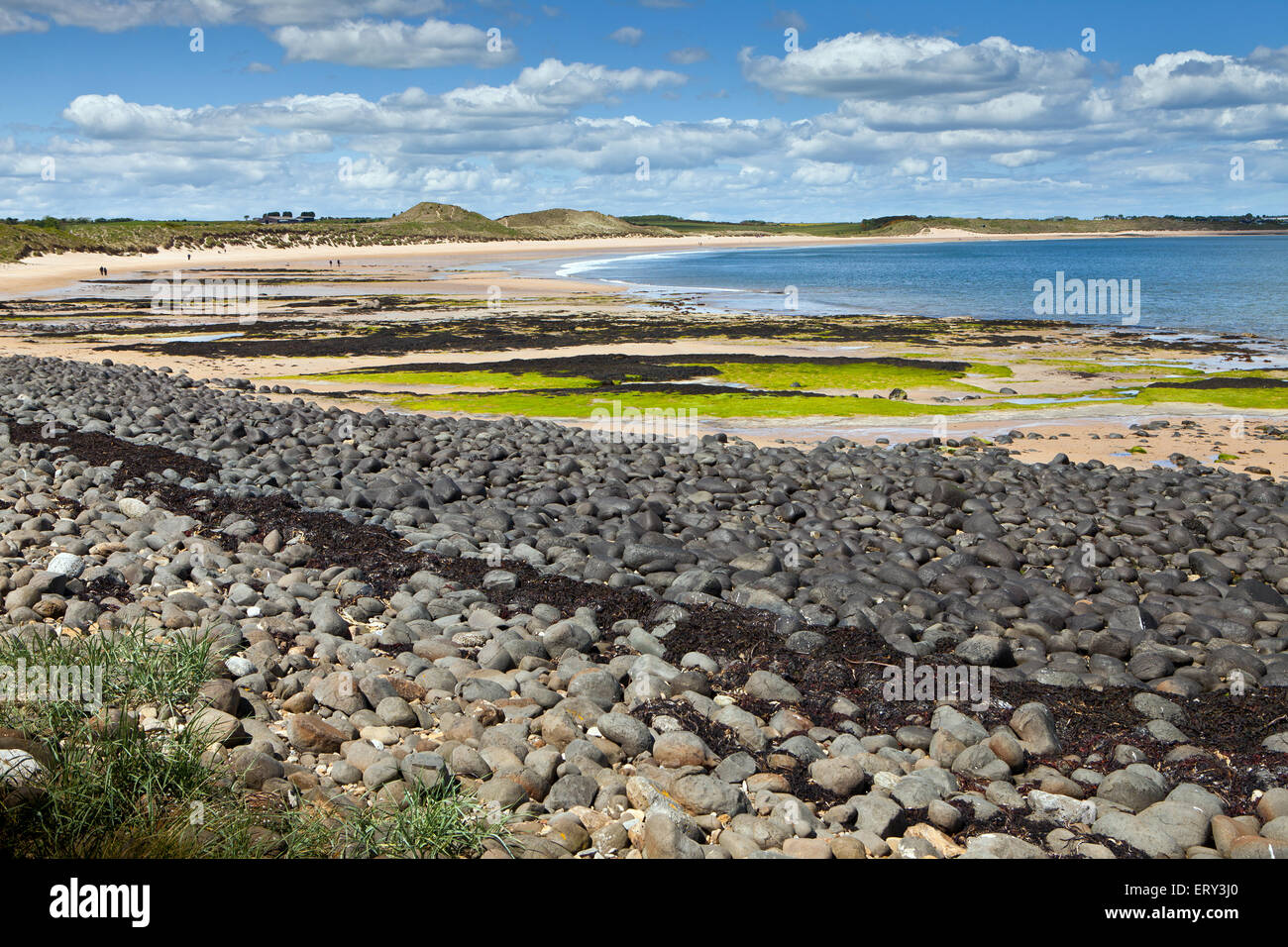 Embleton Bay, Northumberland Stock Photo - Alamy