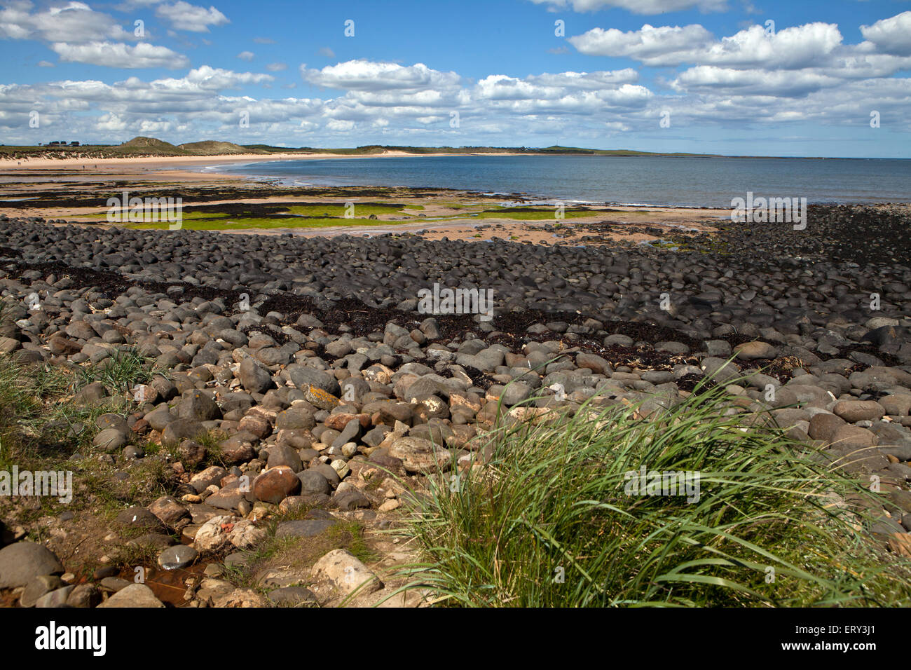 Embleton Bay, Northumberland Stock Photo - Alamy