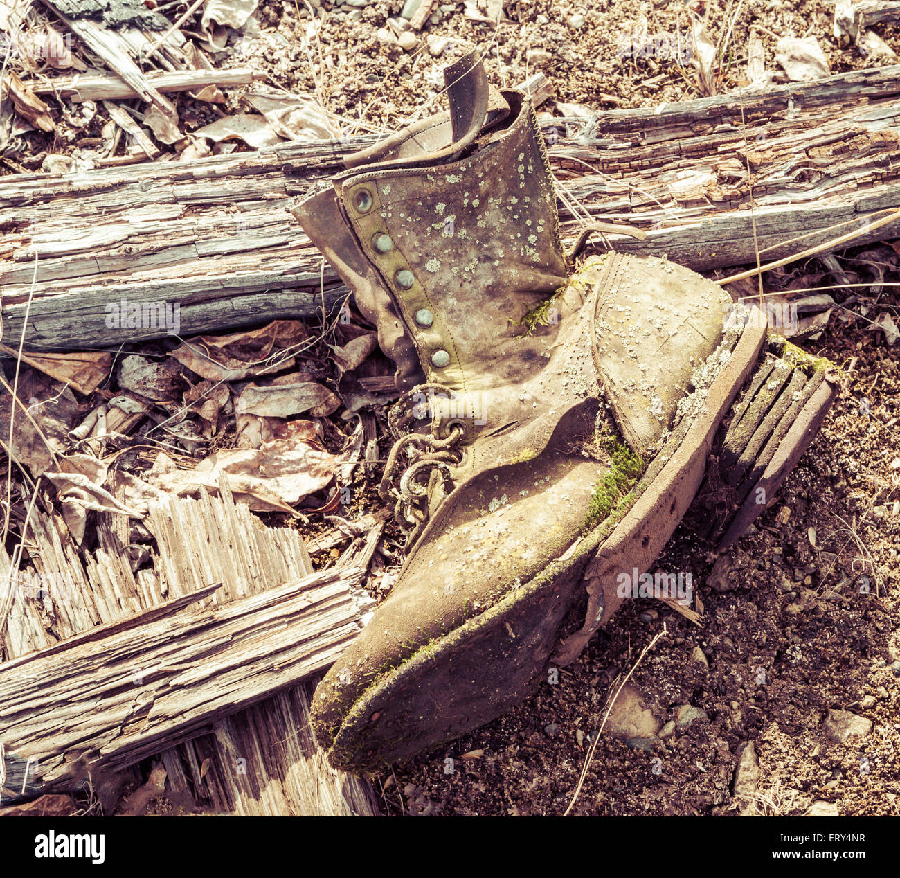 Abandoned old boot hi-res stock photography and images - Alamy