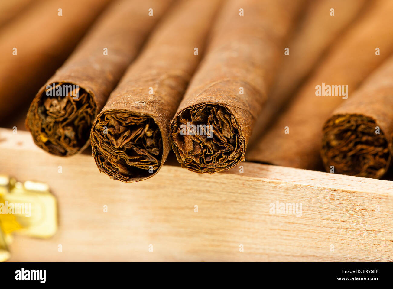 Cigar culture hi-res stock photography and images - Alamy