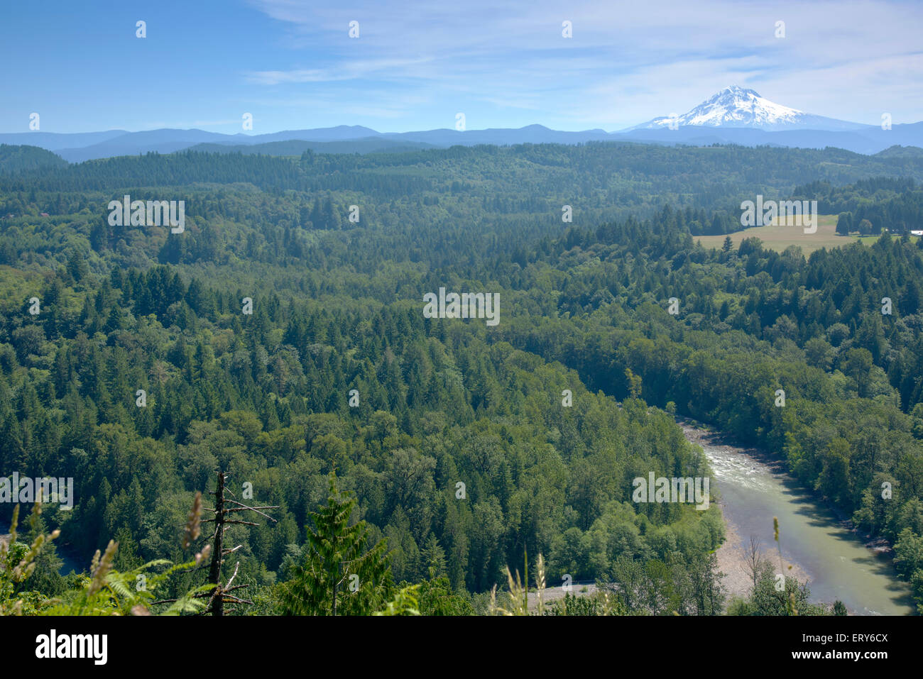 Jonsrud Viewpoint forest and Mt. Hood in Sandy Oregon Stock Photo - Alamy