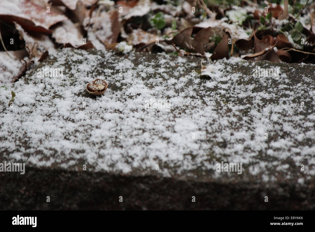 First autumn snowfall in hi-res stock photography and images - Alamy