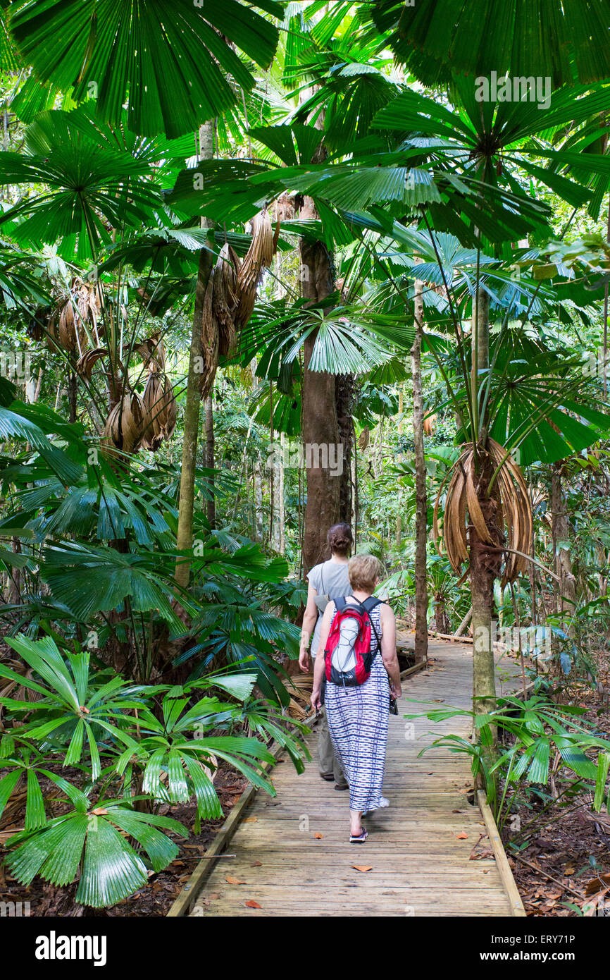 Daintree rainforest australia walking hi-res stock photography and ...