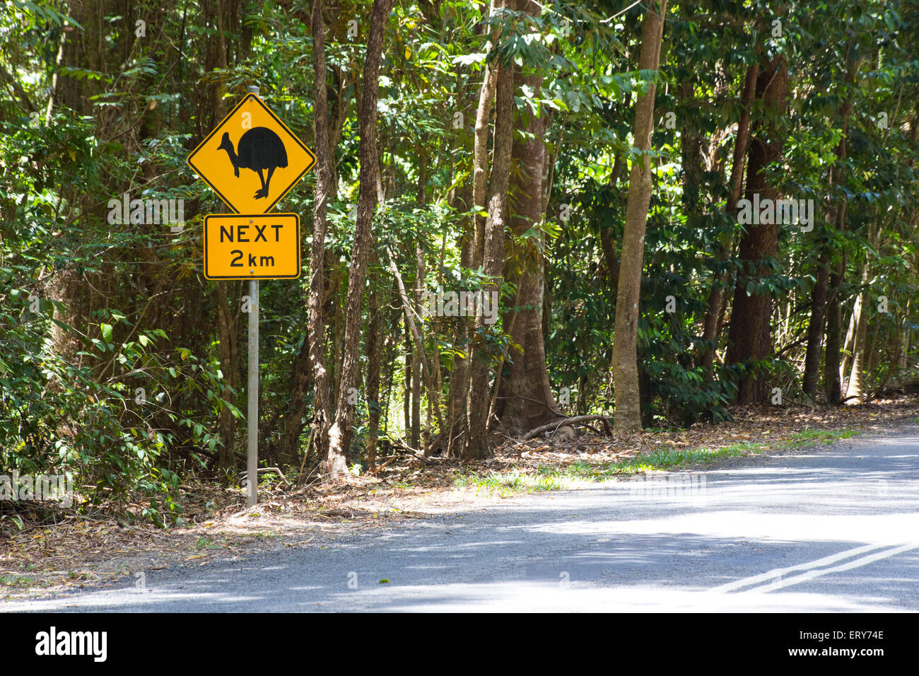 Road Sign warning to protect Southern Cassowary (Casuarius casuarius ...