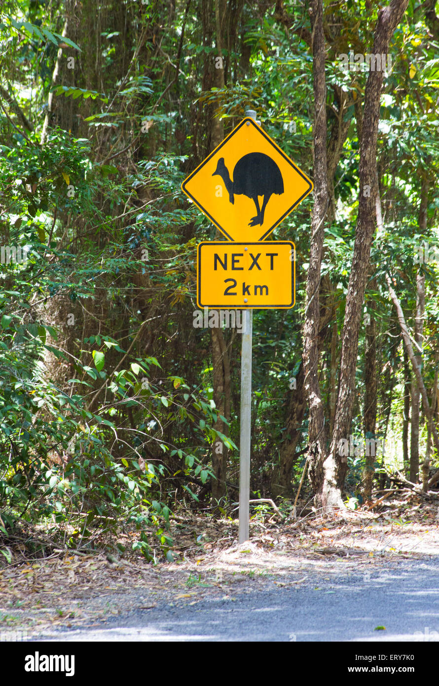 Road Sign warning to protect Southern Cassowary (Casuarius casuarius ...