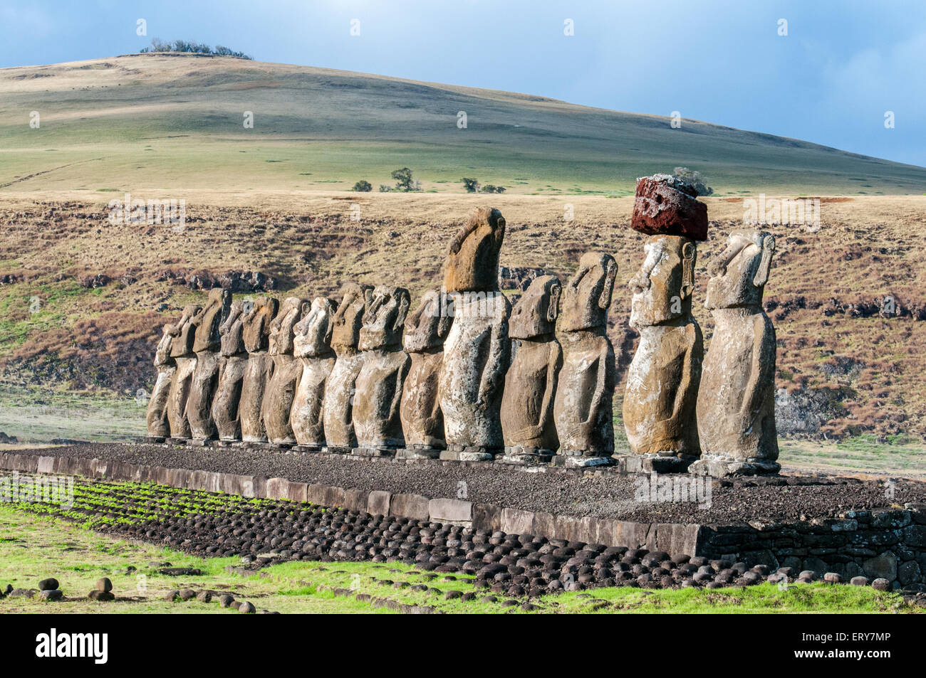 Moai statues on Easter Island Stock Photo - Alamy