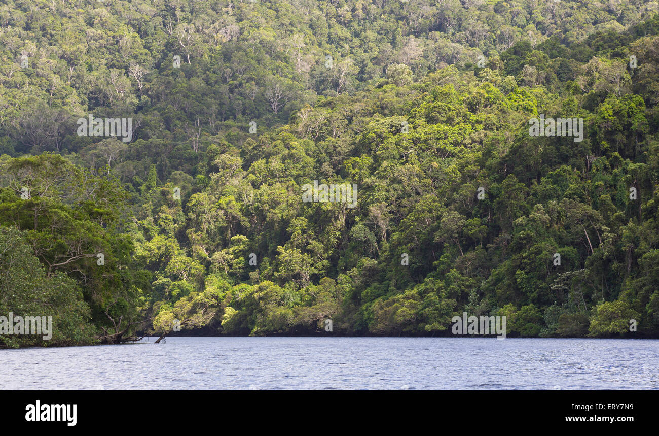 Daintree river national park hi-res stock photography and images - Alamy