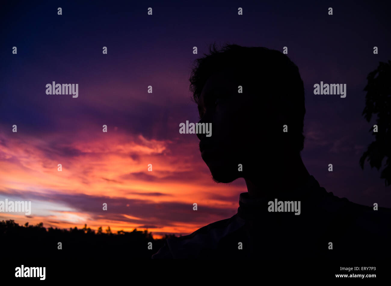 the boy look at sunset Stock Photo - Alamy