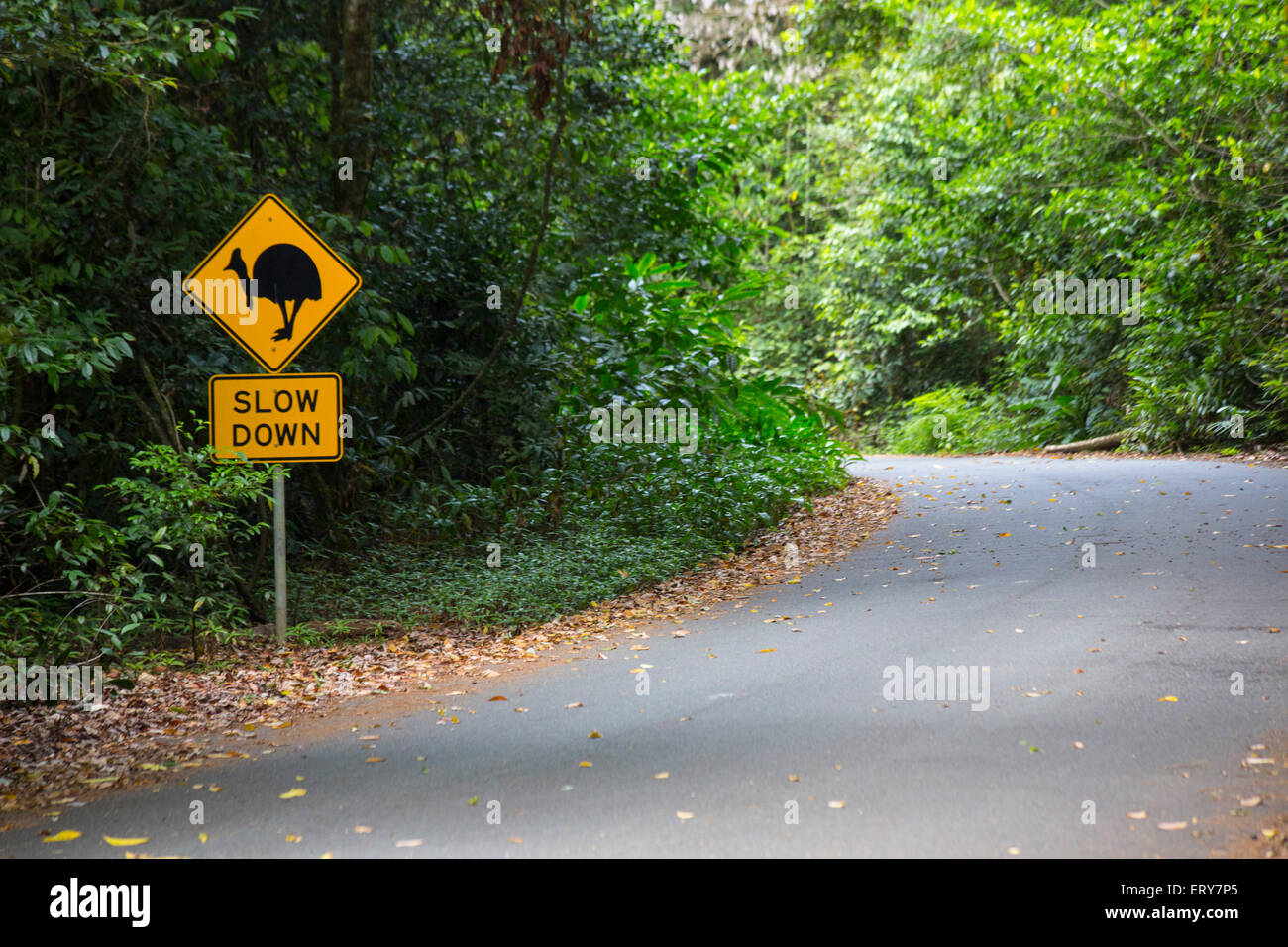 Cassowary warning sign hi-res stock photography and images - Alamy