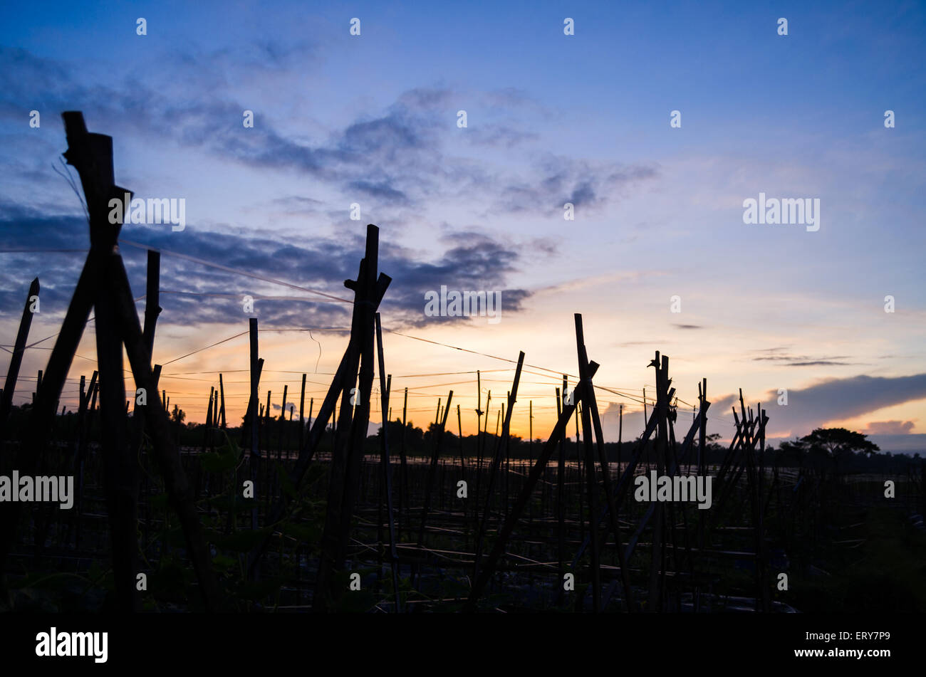 East asian scenic spots hi-res stock photography and images - Alamy