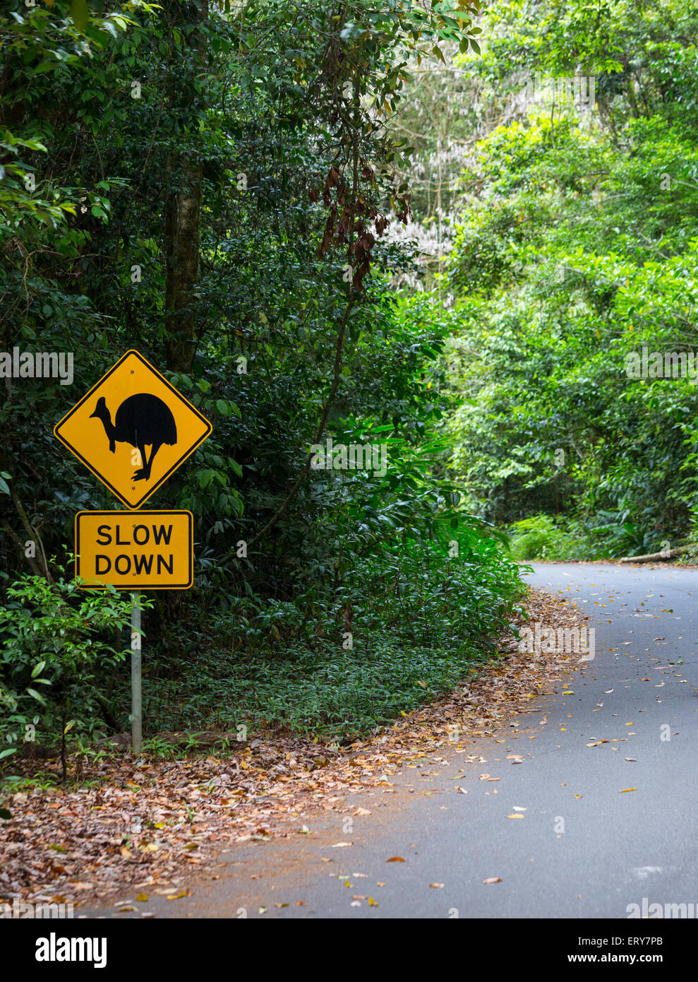 Cassowary road sign hi-res stock photography and images - Alamy