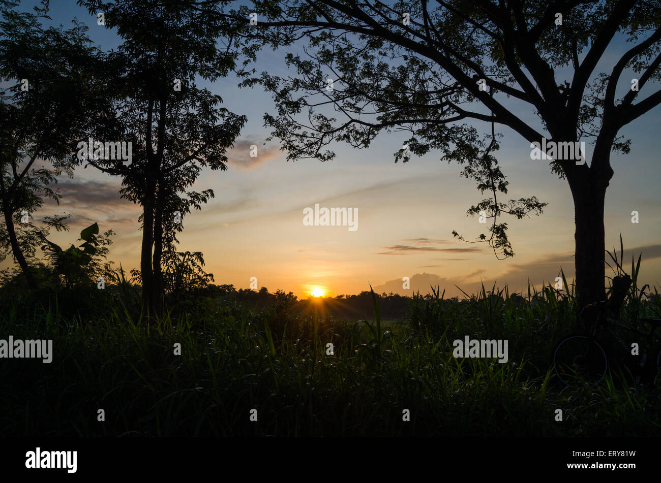 Dewy landscape hi-res stock photography and images - Alamy