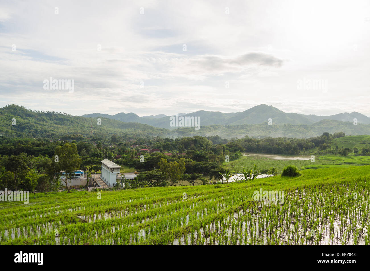 Tulungagung views of the village in the city, East Java, Indonesia ...