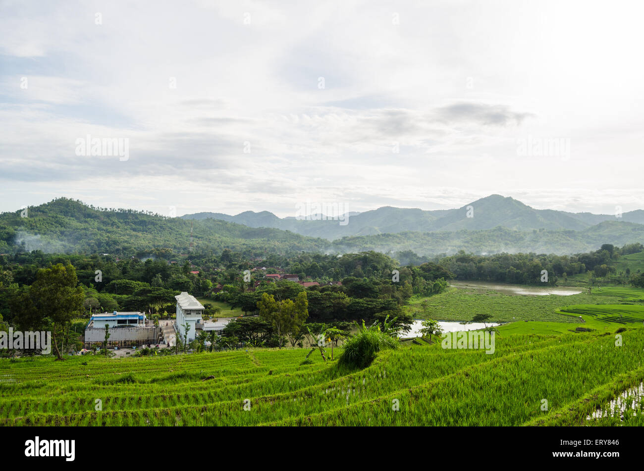 Tulungagung views of the village in the city, East Java, Indonesia ...