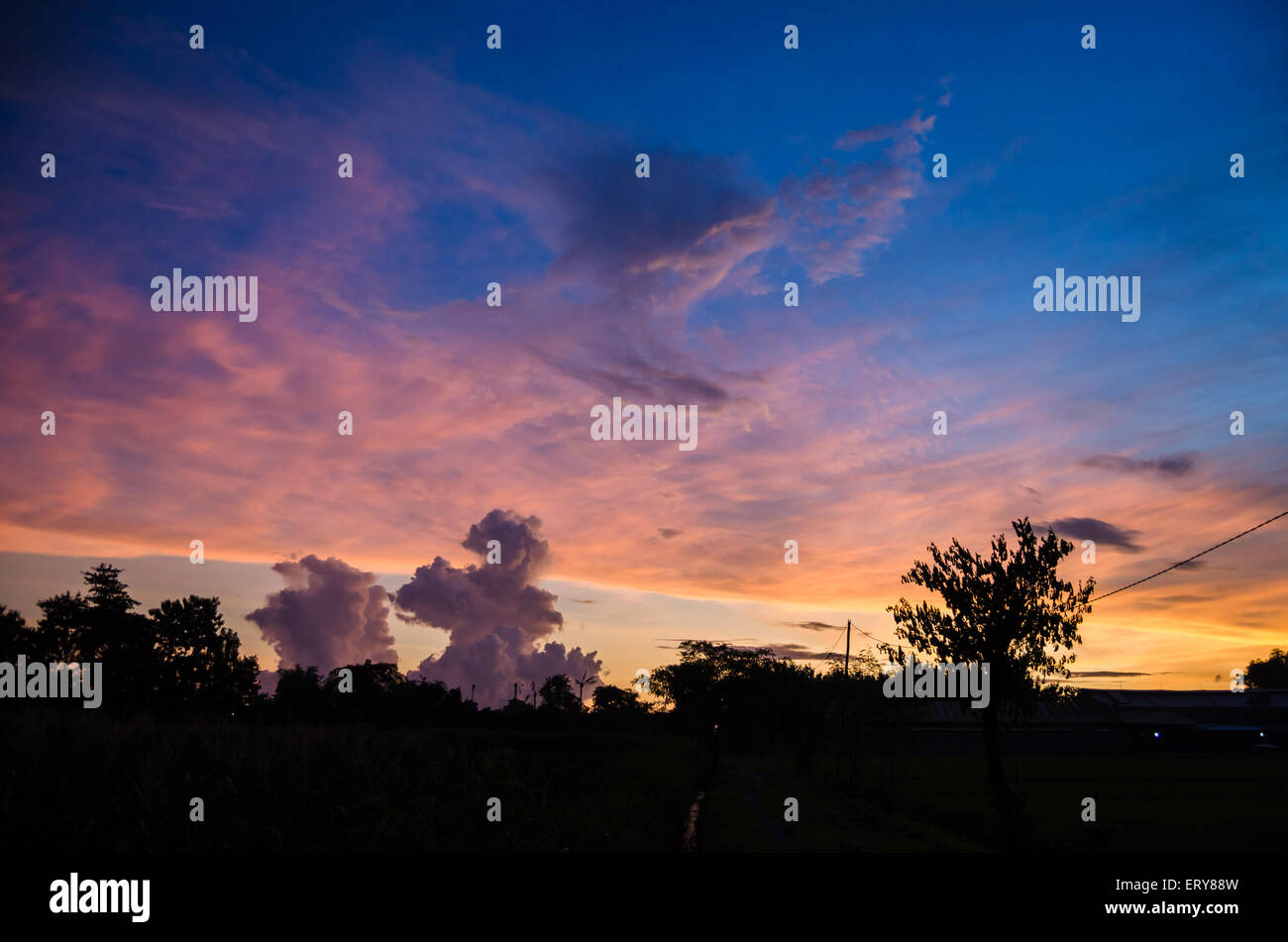 sunset in the village, tulungagung East Java Indonesia Stock Photo - Alamy