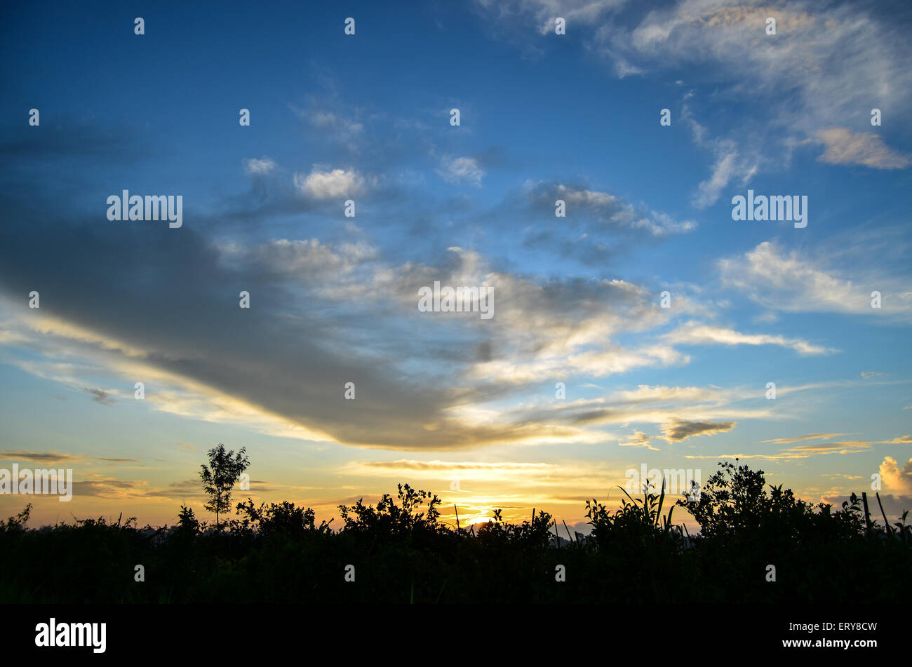 Sun view hi-res stock photography and images - Alamy