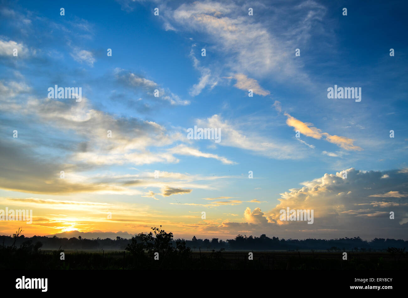 Sun view hi-res stock photography and images - Alamy