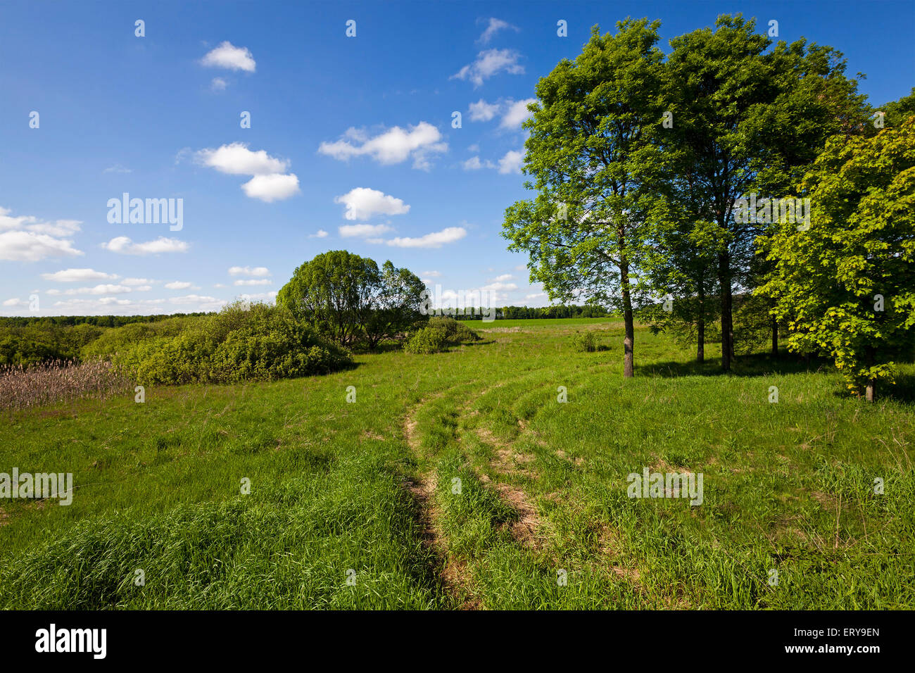 the rural road Stock Photo - Alamy
