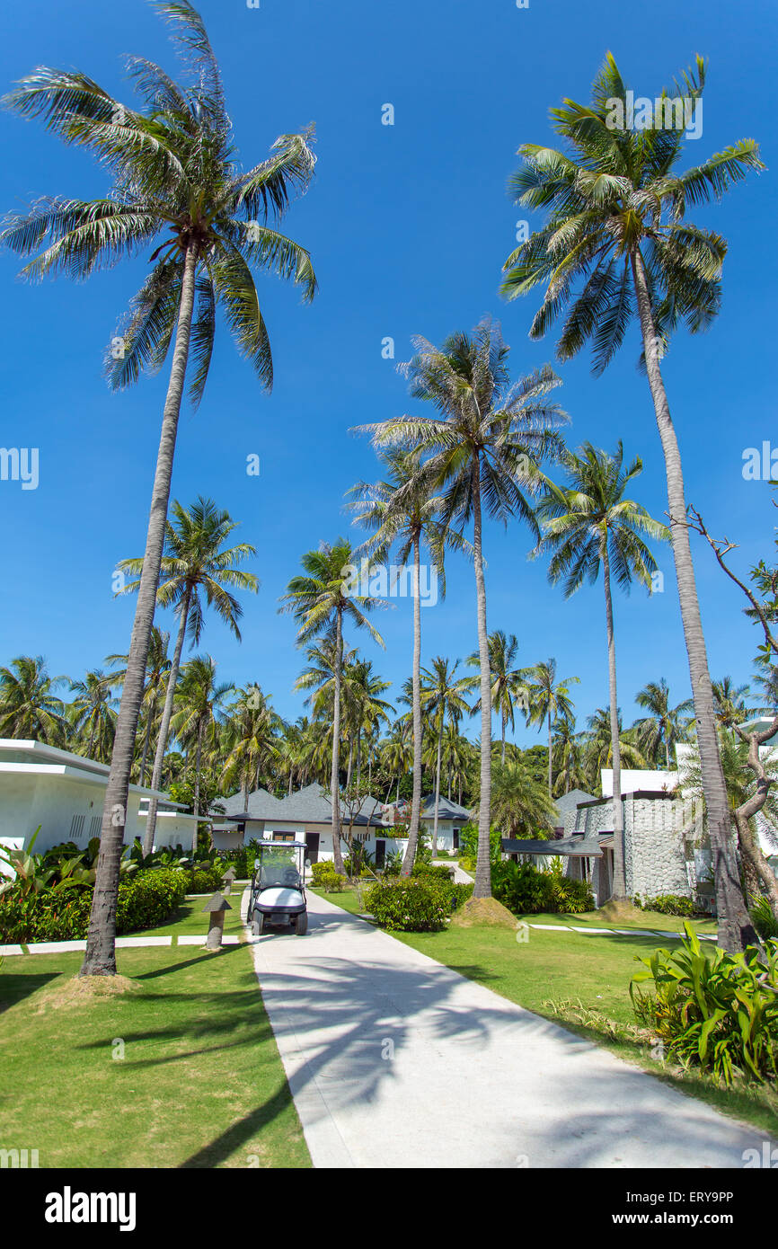 Beautiful tropical resort bungalows under the palm trees Stock Photo ...