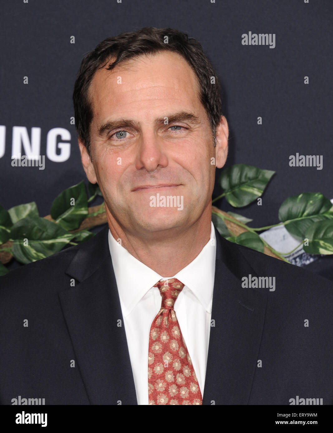 Los Angeles, California, USA. 9th June, 2015. Andy Buckley attending ...