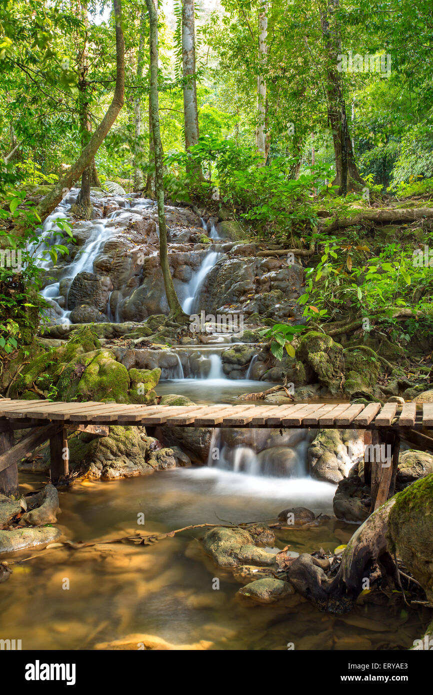 Tropical rain forest landscape with wooden bridge over the beautiful ...