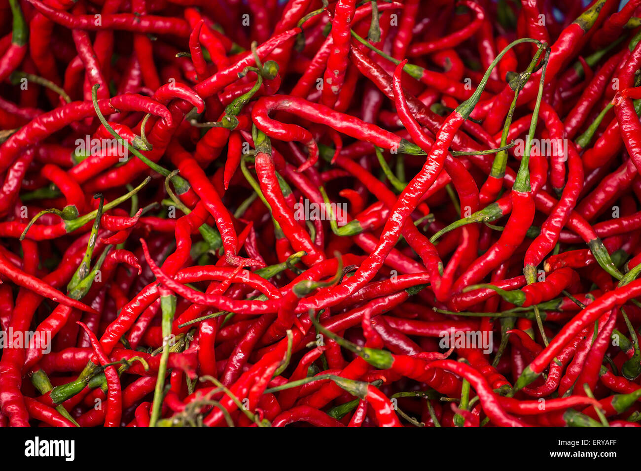 Dry chillies hi-res stock photography and images - Alamy