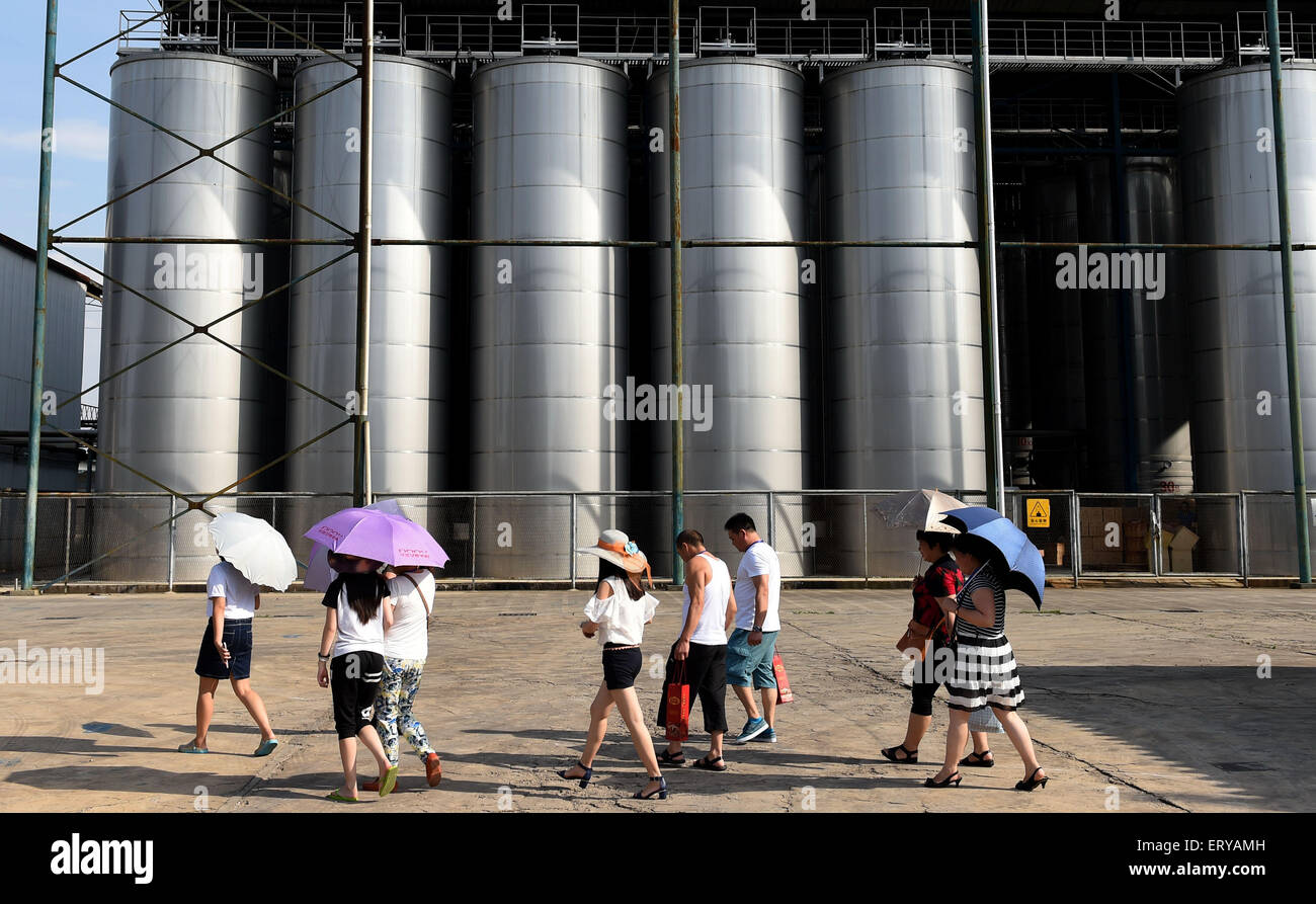 Honghe. 10th June, 2015. People visit a winery in Mile of Honghe Hani ...