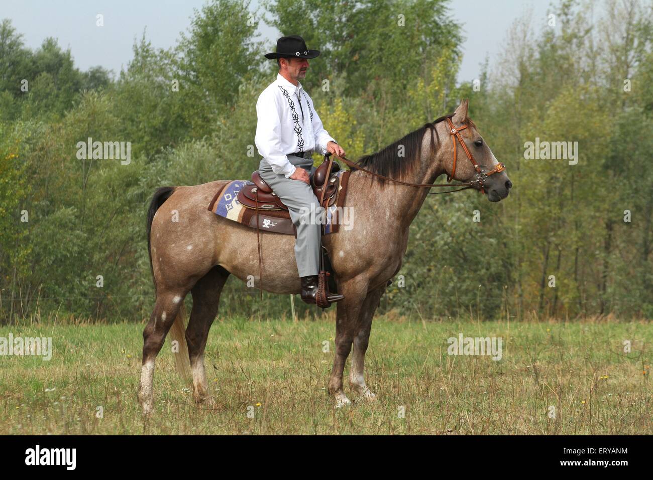 Man standing horse hi-res stock photography and images - Alamy