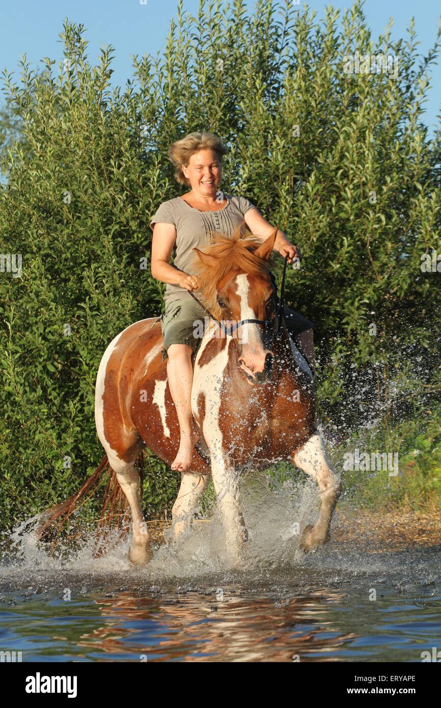 woman rides Pinto Stock Photo - Alamy