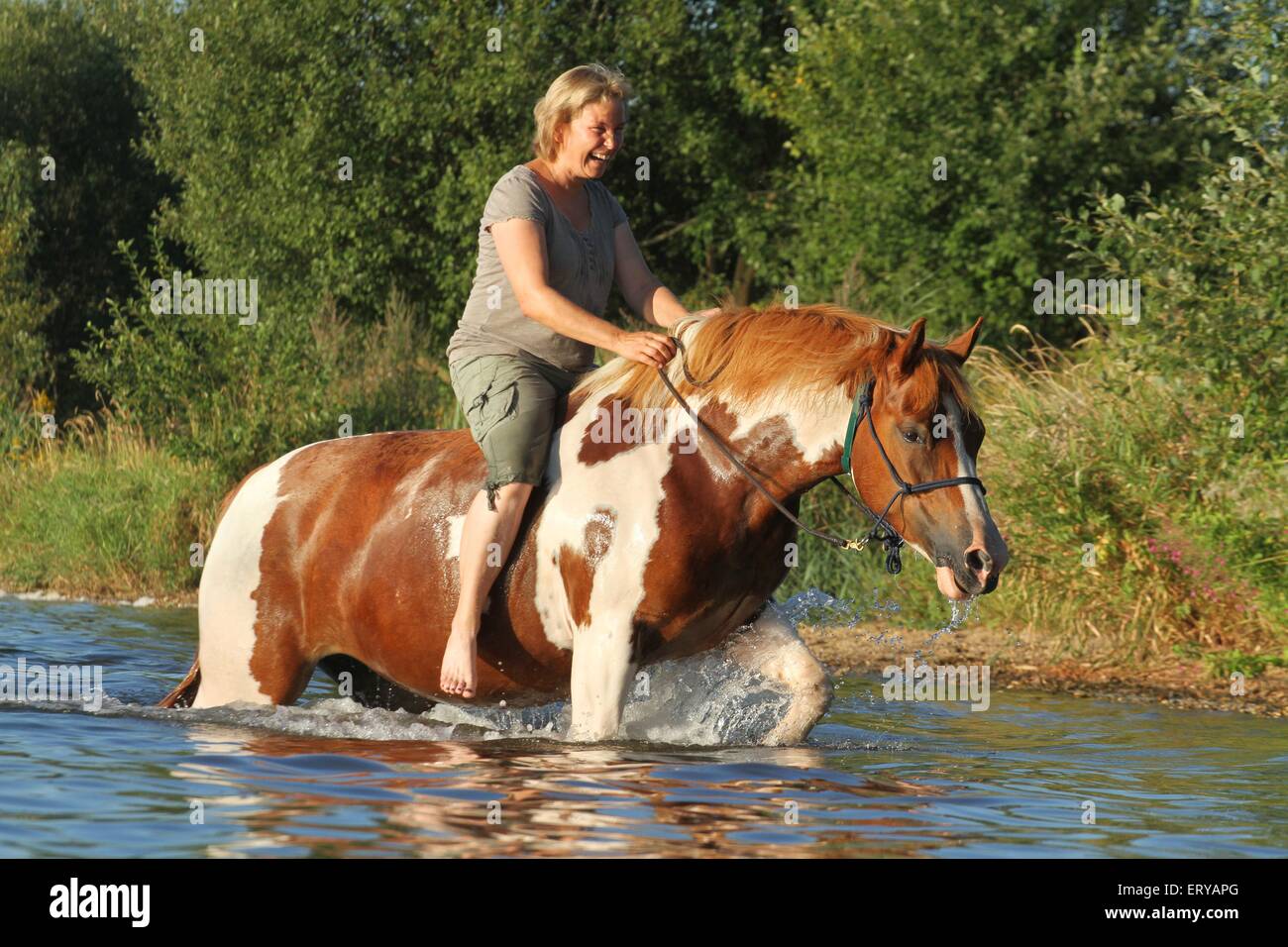 woman rides Pinto Stock Photo - Alamy