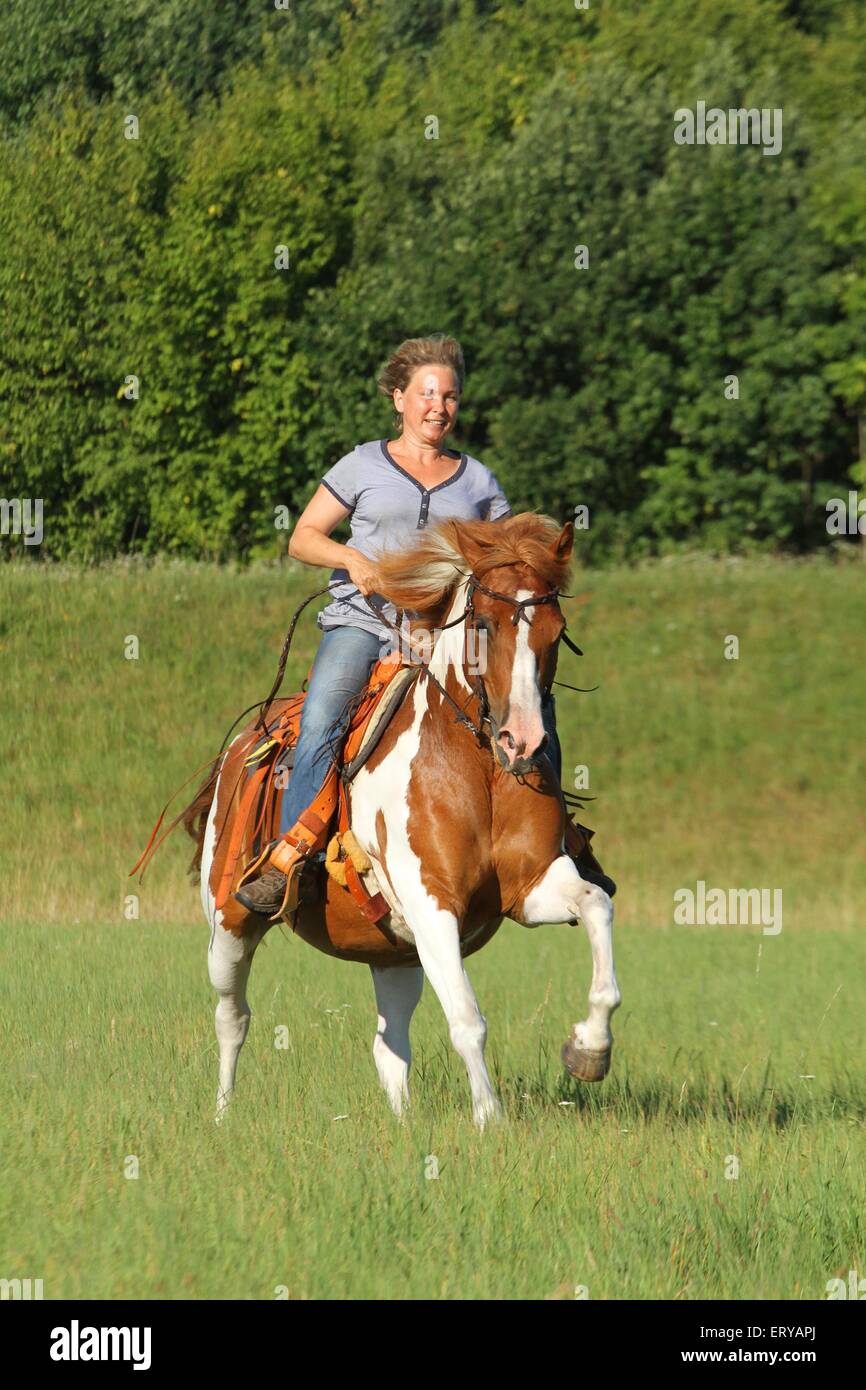woman rides Pinto Stock Photo - Alamy