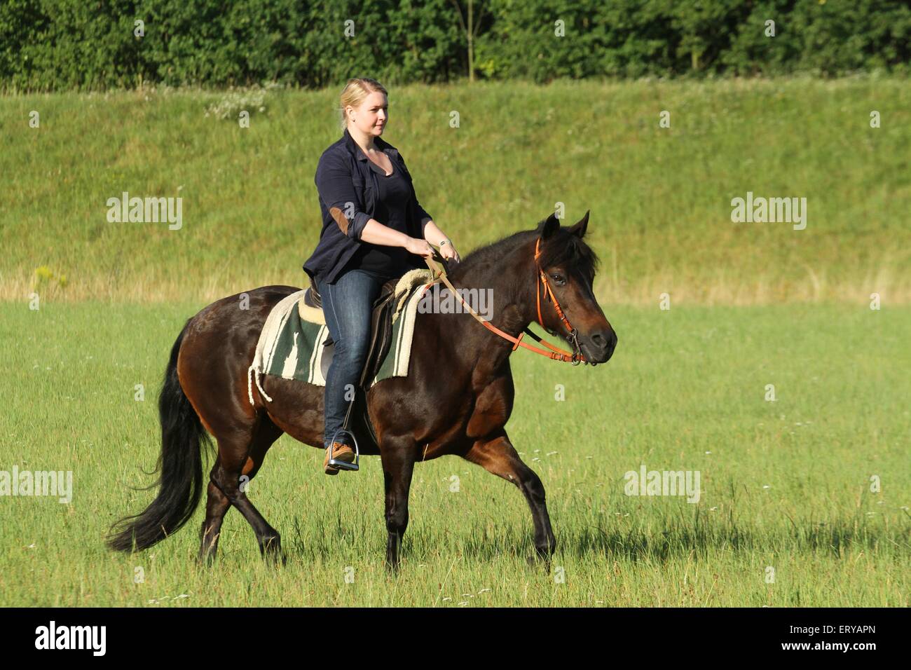 Woman riding pony hi-res stock photography and images - Alamy