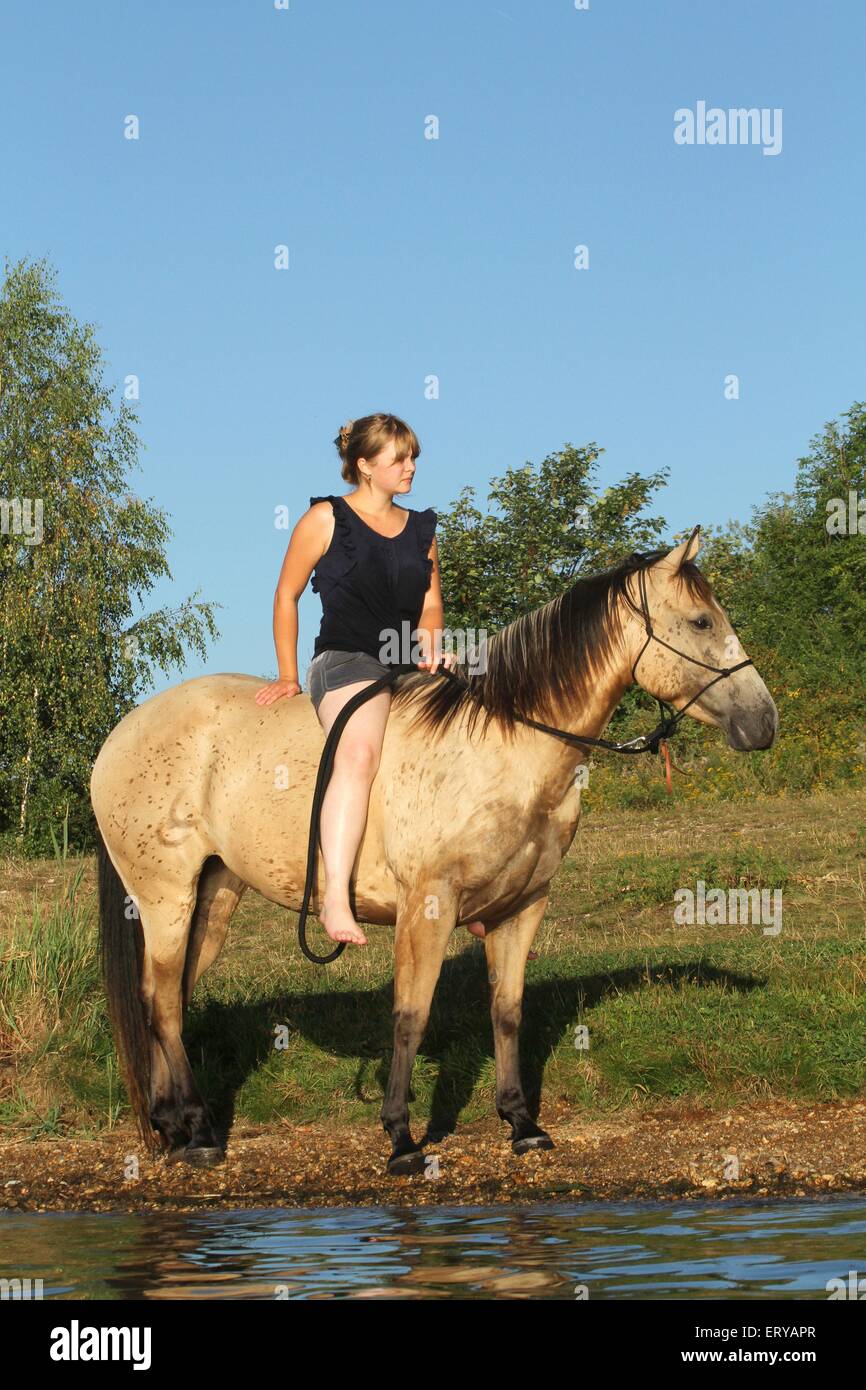 woman rides Quarter Horse Stock Photo - Alamy