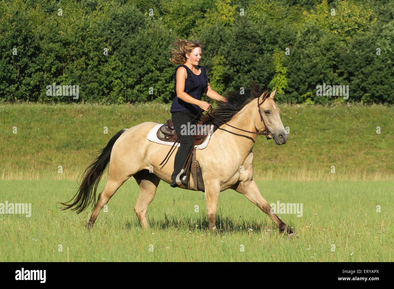 woman rides Quarter Horse Stock Photo - Alamy