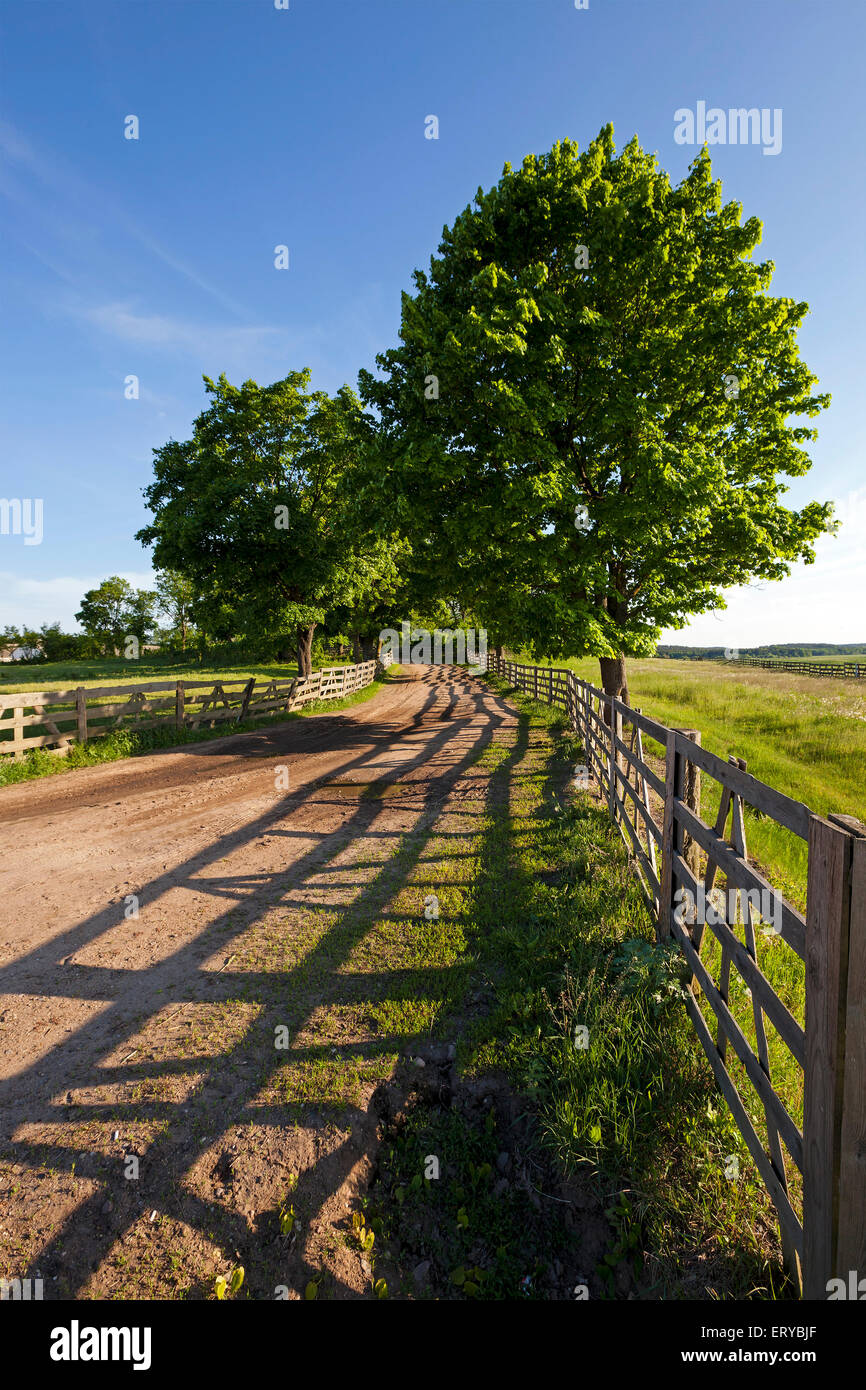the road on a farm Stock Photo - Alamy
