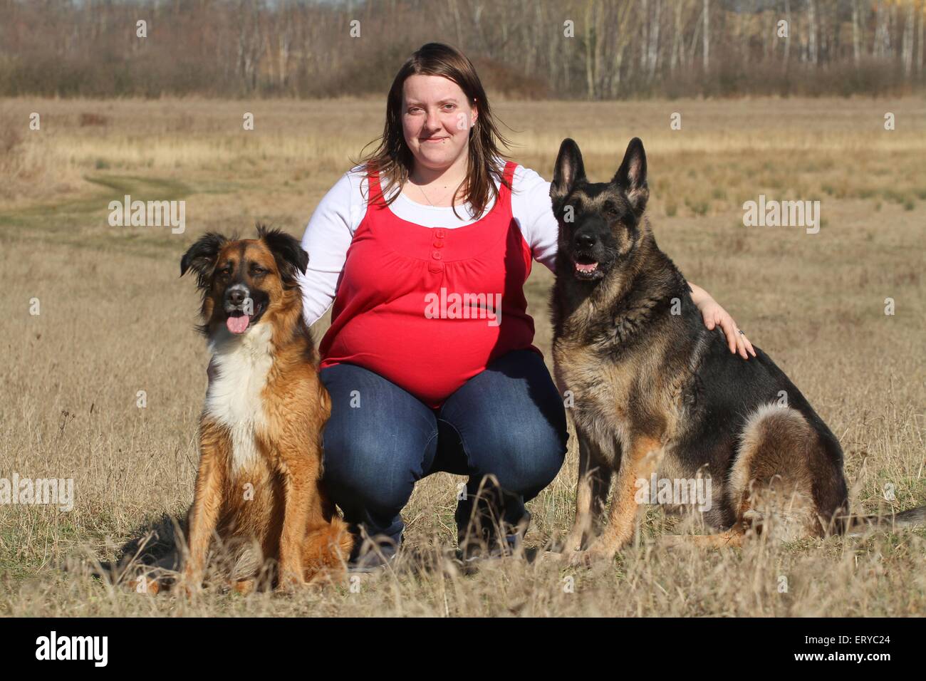 woman with 2 dogs Stock Photo - Alamy