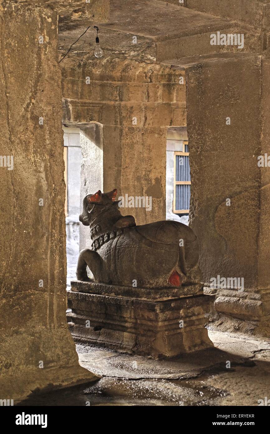 Nandi statue in Pataleshwar rock cut cave shiva temple carved in eighth ...
