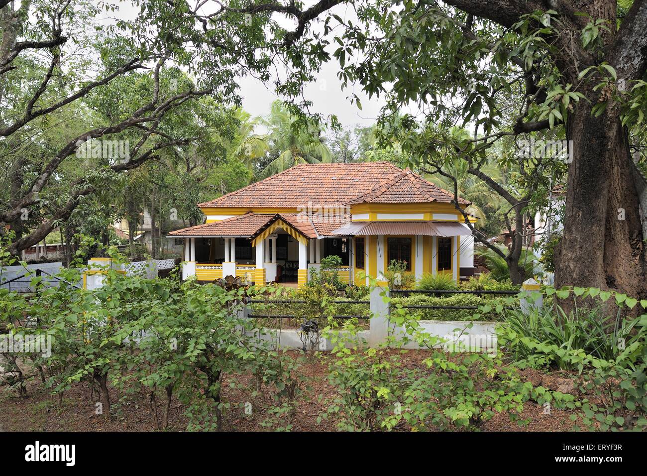 Roofs houses in jungle hi-res stock photography and images - Alamy