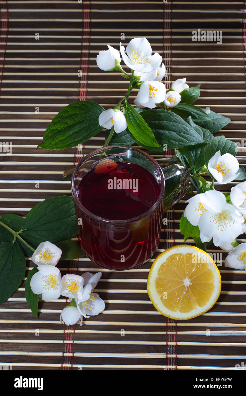Tea tree flower hi-res stock photography and images - Alamy