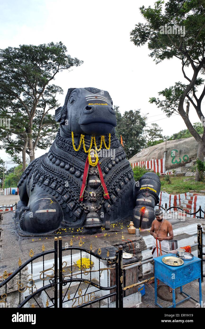 Nandi bull at chmudi temple ; Chamudihill ; Mysore ; Karnataka ; India ...