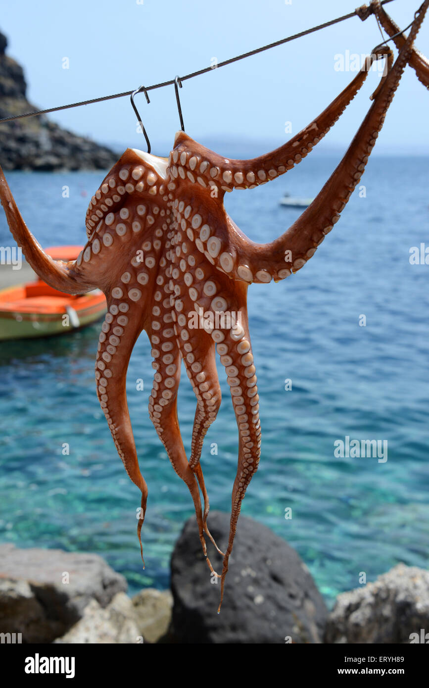 Bay suckers hi-res stock photography and images - Alamy