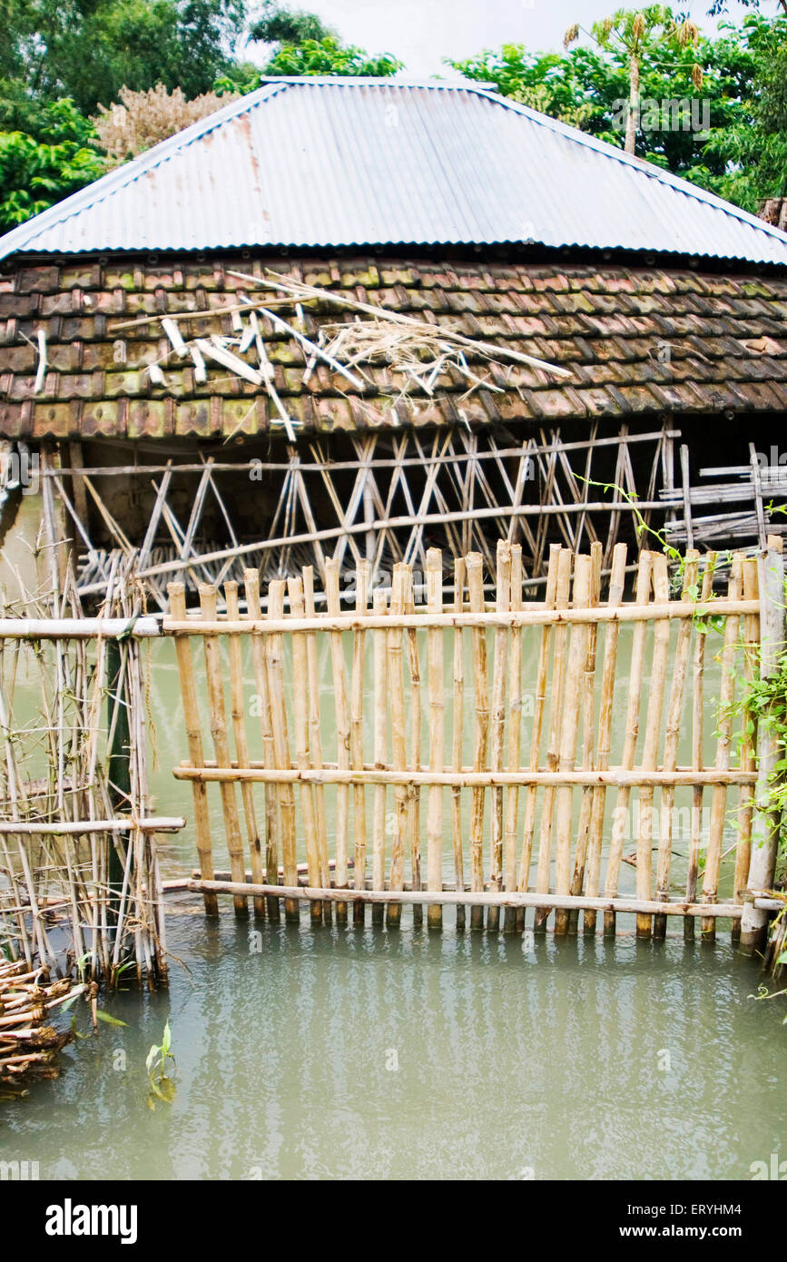 Kosi river flood , Koshi , Purnea , Purnia district , Bihar , India ...