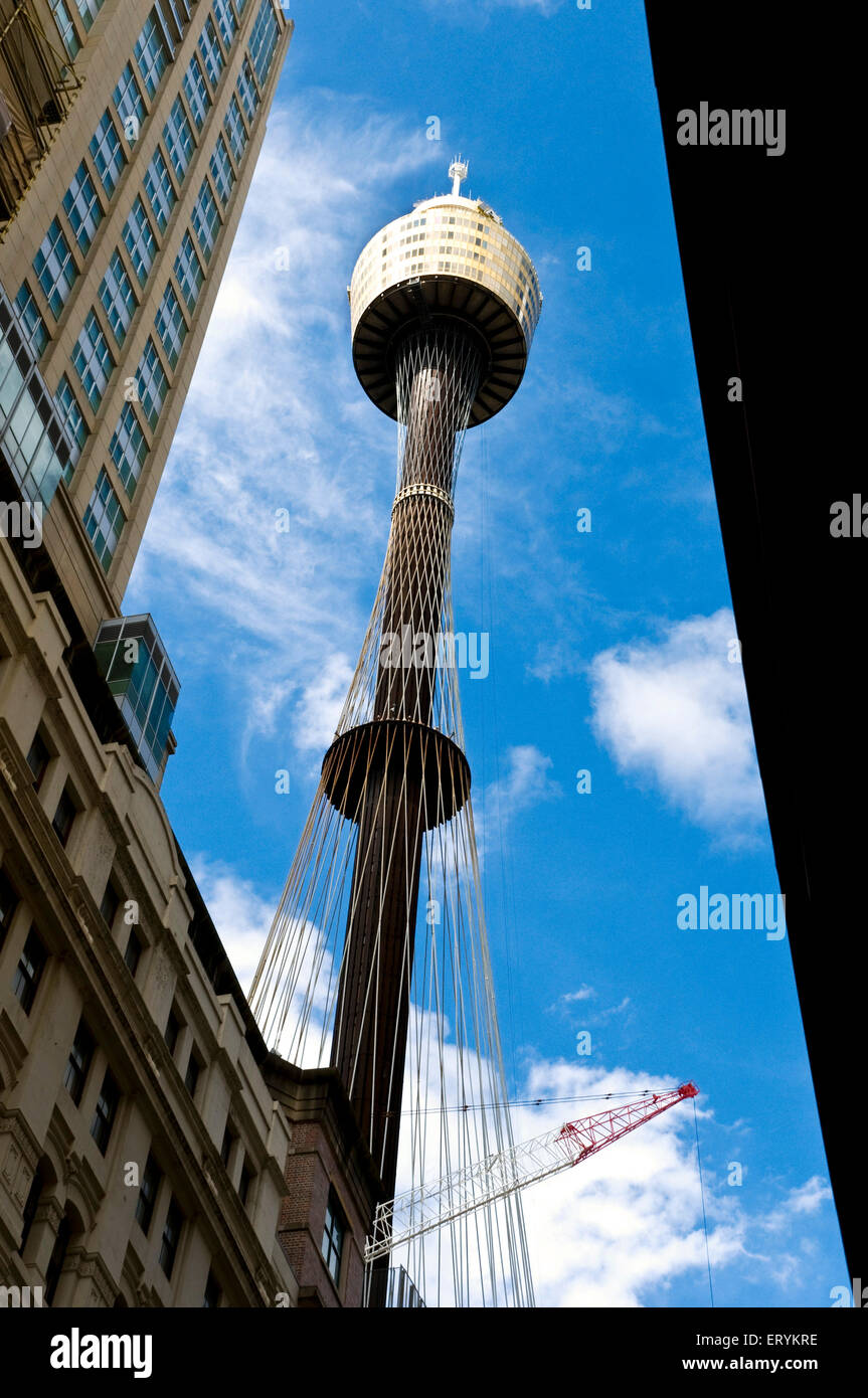 Sydney Tower ; Sydney's tallest structure , Sydney , New South Wales ...