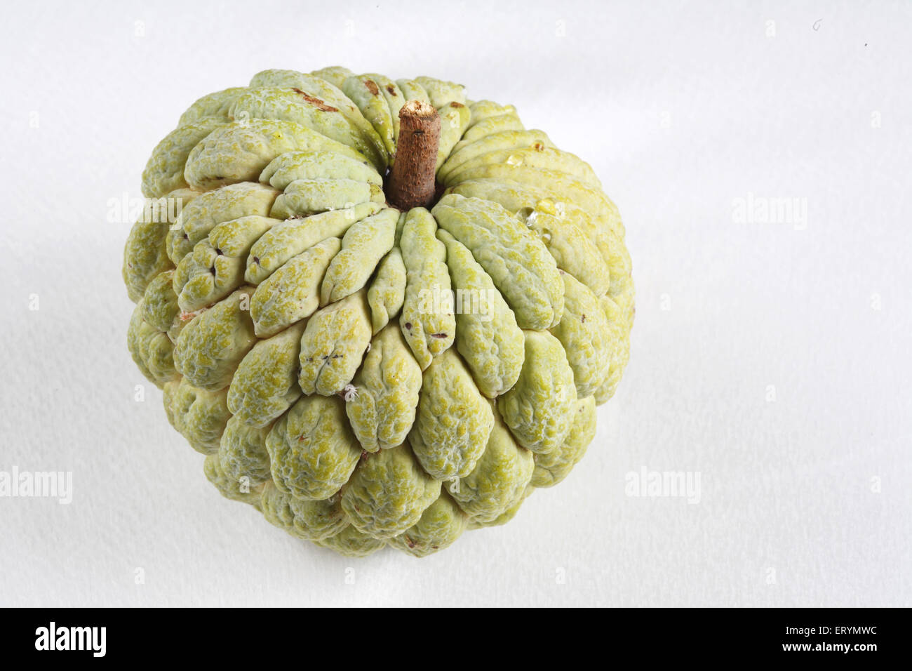 Annona Squamosa NParks | Annona Squamosa