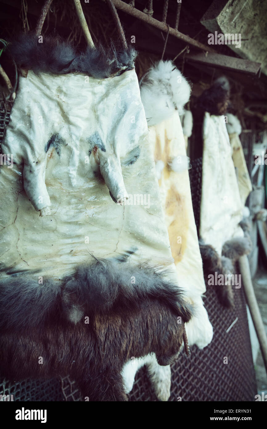 Fur coat hooks hi-res stock photography and images - Alamy